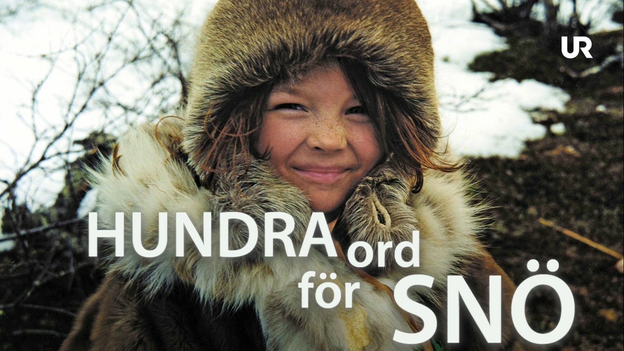 Hundra ord för snö - samiska | UR Play