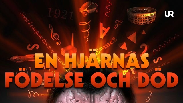 En hjärnas födelse och död | UR Play