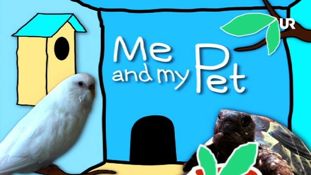 Me and my pet | UR Play