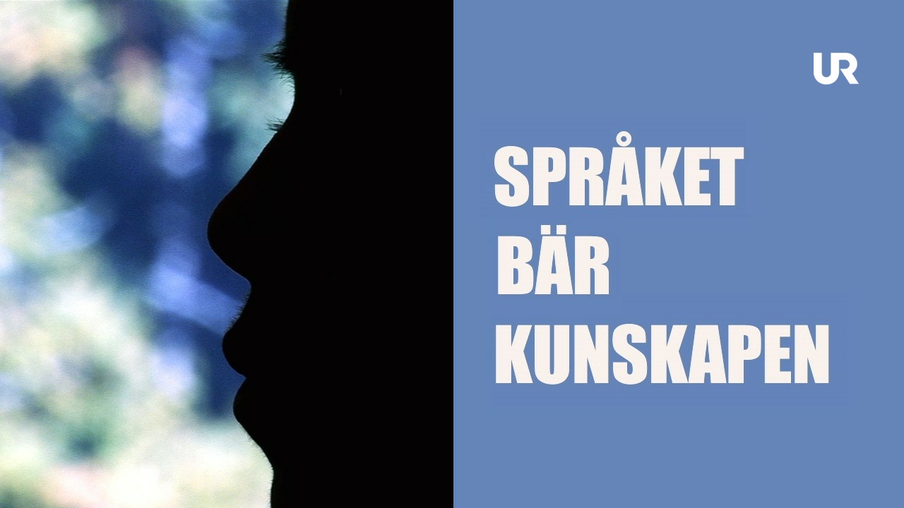Språket bär kunskapen | UR Play