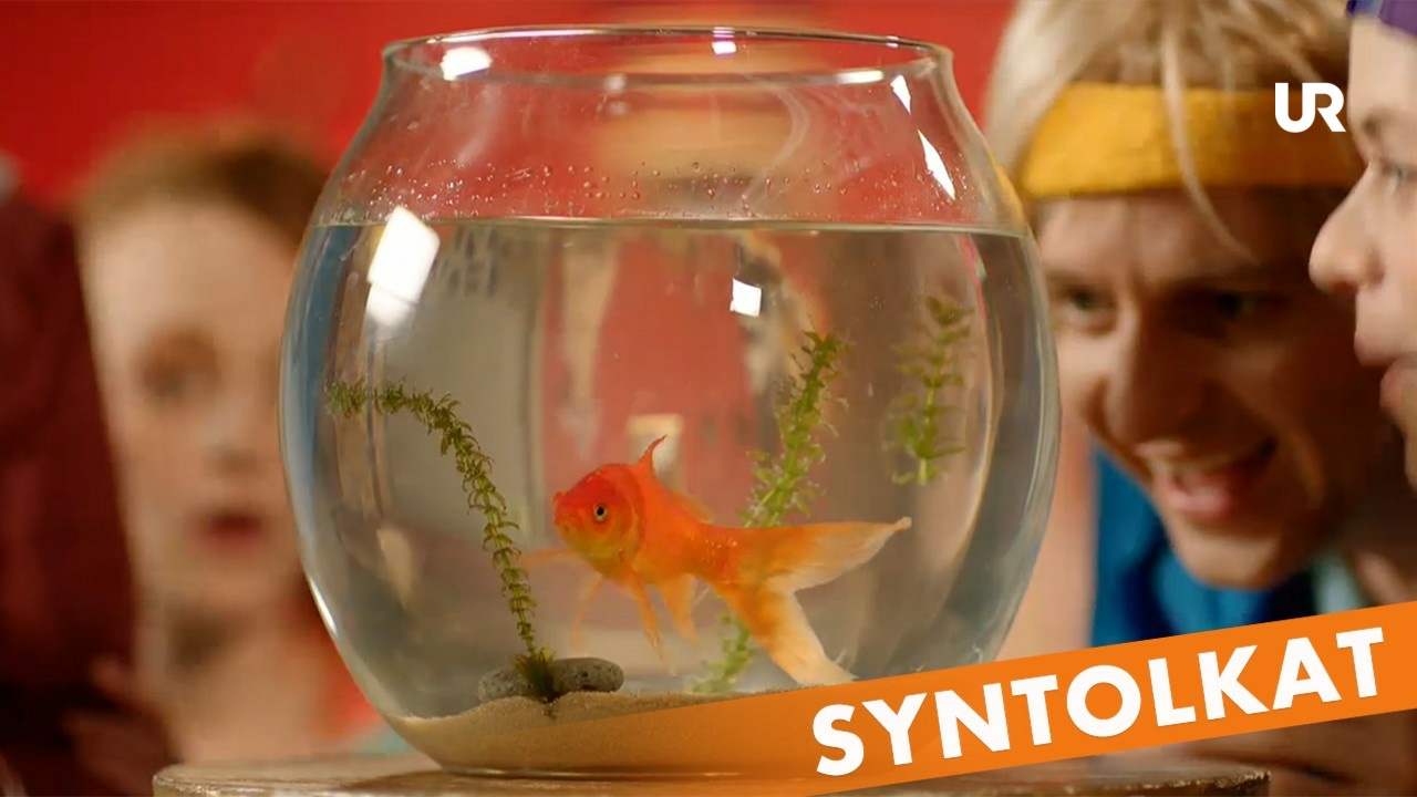 Livet i Bokstavslandet - syntolkat: F som i fiskar | UR Play