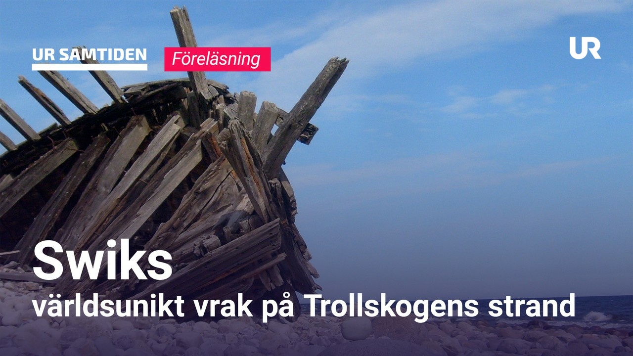 UR Samtiden - Naturum Ottenby och Trollskogen: Swiks - världsunikt vrak på Trollskogens strand ...