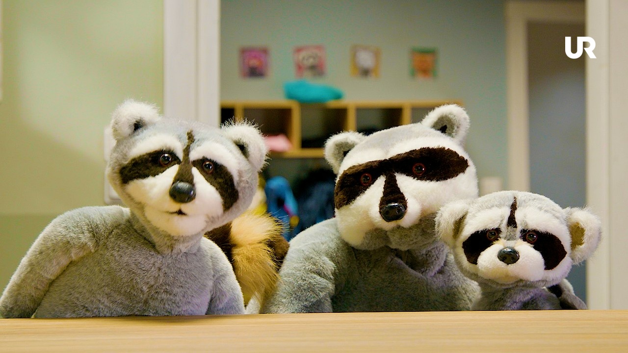 Djuren på Djuris börjar skolan - vara kompisar: Hantera konflikter | UR Play