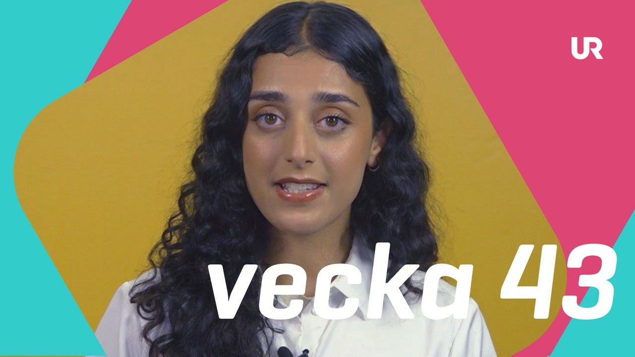 Lilla Aktuellt skola: 2022-10-28 | UR Play