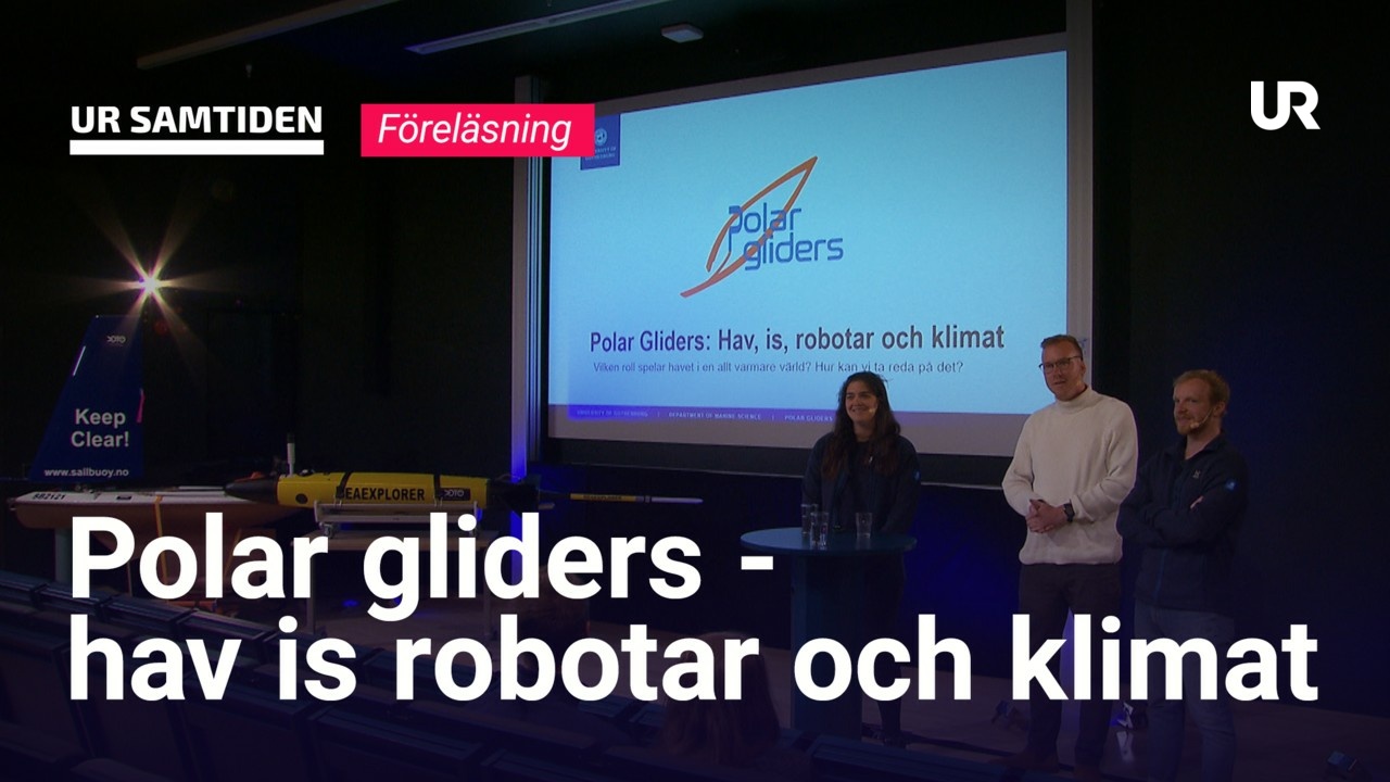 Ur Samtiden Vetenskapsfestivalen 2022 Polar Gliders Hav Is