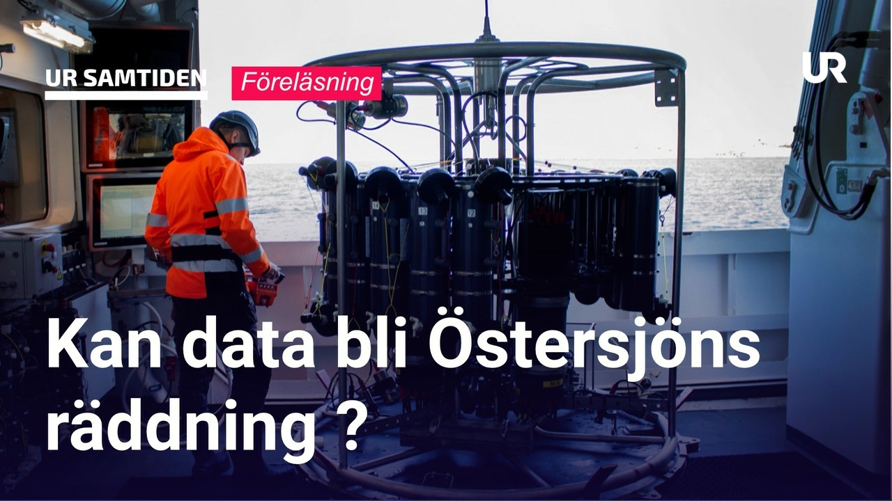 Ur Samtiden Väder Vatten Och Klimat Kan Data Bli Östersjöns