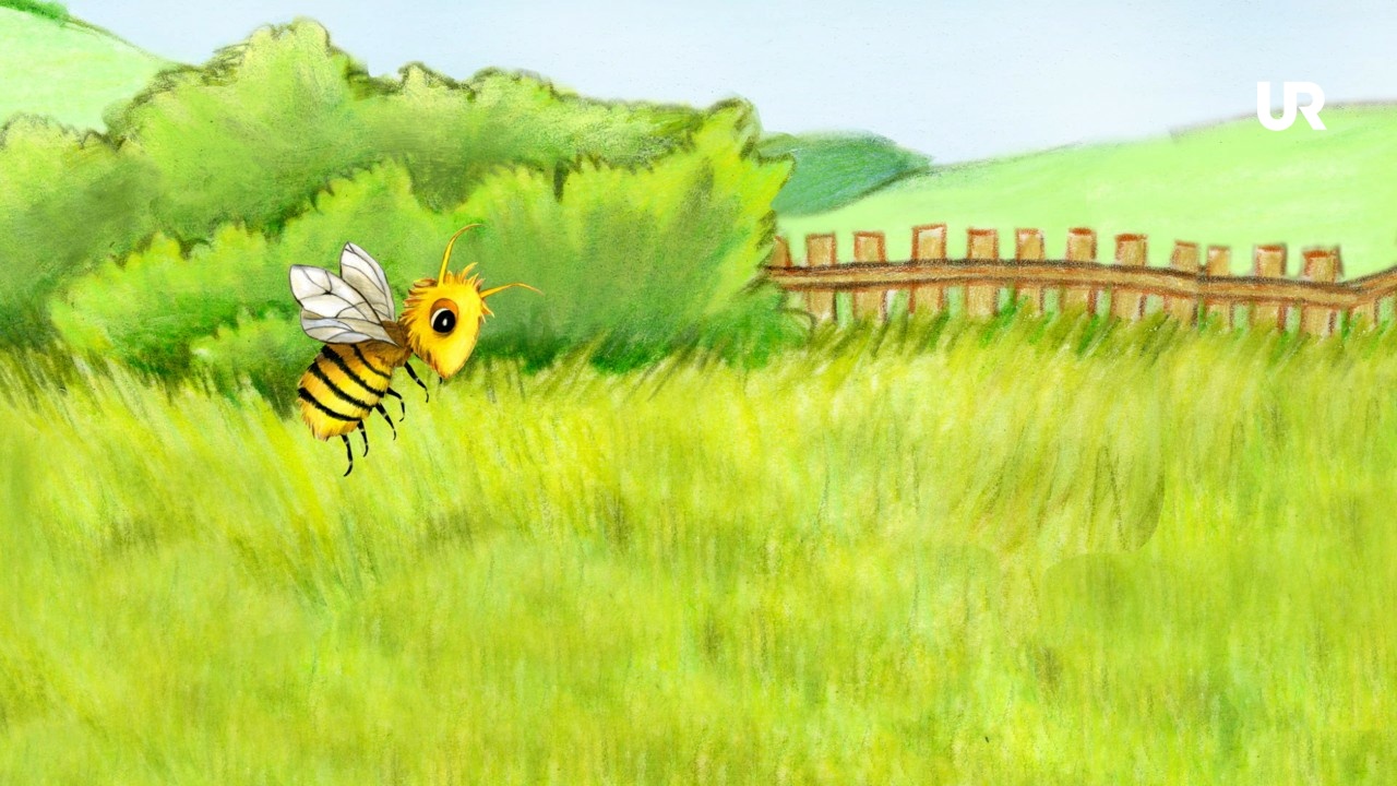 Humlan Djojj: Birger Bi och blomsterängen | UR Play