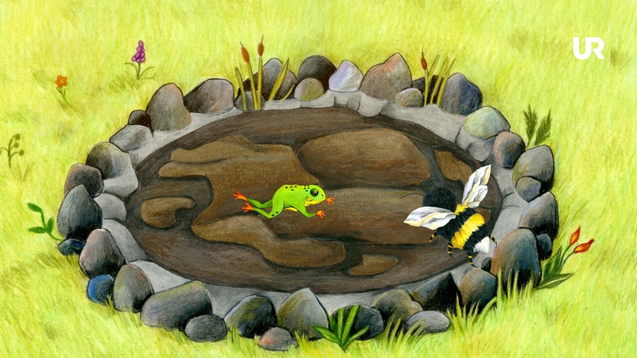 Humlan Djojj: Längtan efter vatten | UR Play