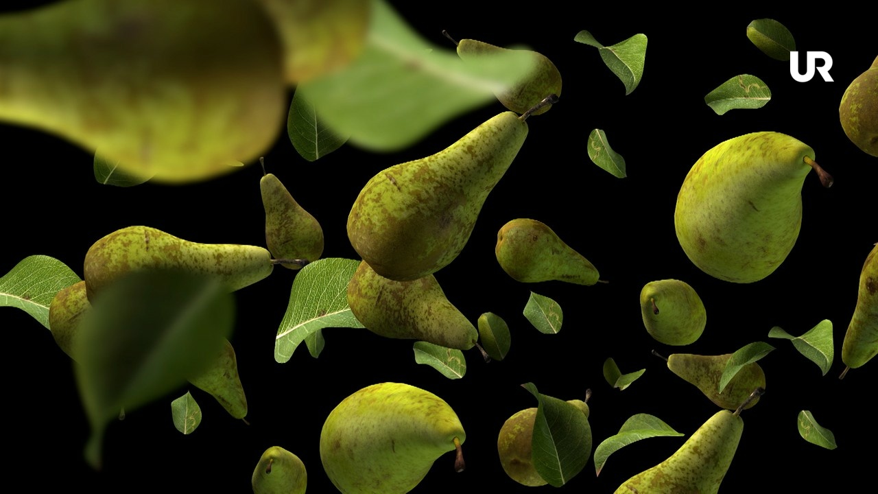 Fakta om frukt - romani lovari: Päron | UR Play