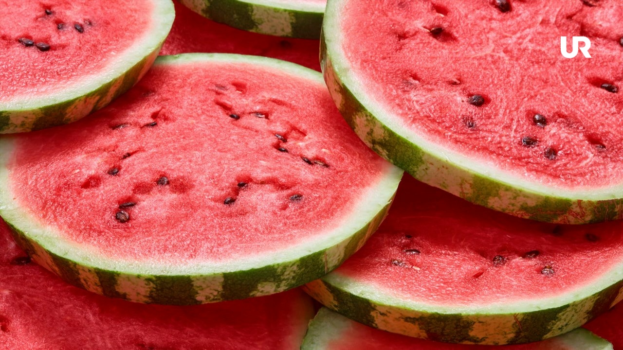 Fakta om frukt - romani lovari: Vattenmelon | UR Play