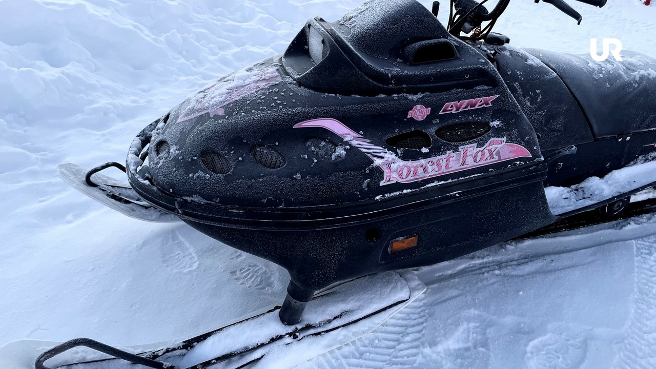 Sáve Sápmi: Forest Fox, Vilges biila | UR Play