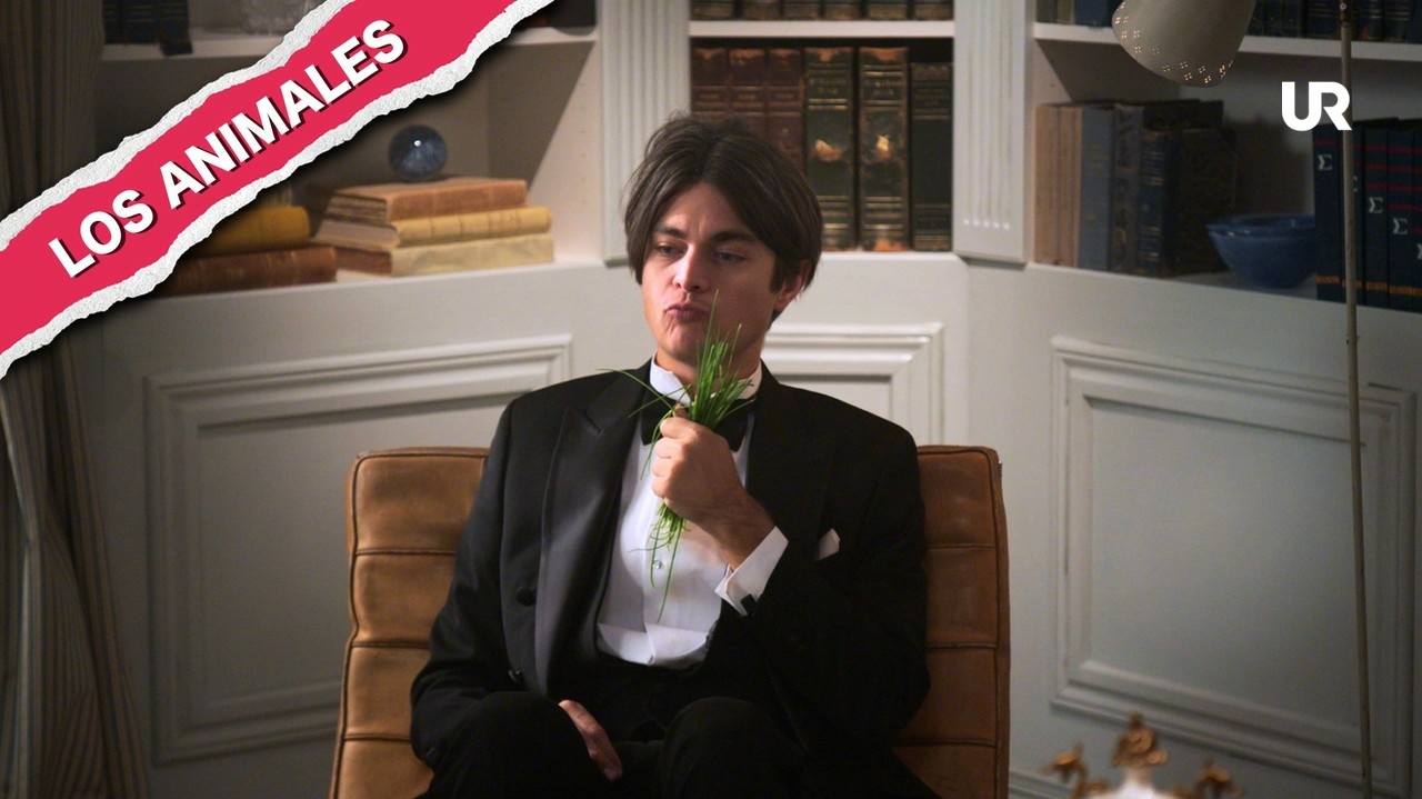 Den spanska språkpolisen: Djur | UR Play