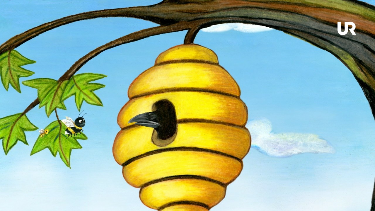 Humlan Djojj - finska: Kråkan och bihotellet | UR Play