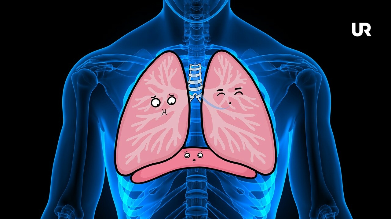 Kul fakta - kroppen: Lungorna | UR Play