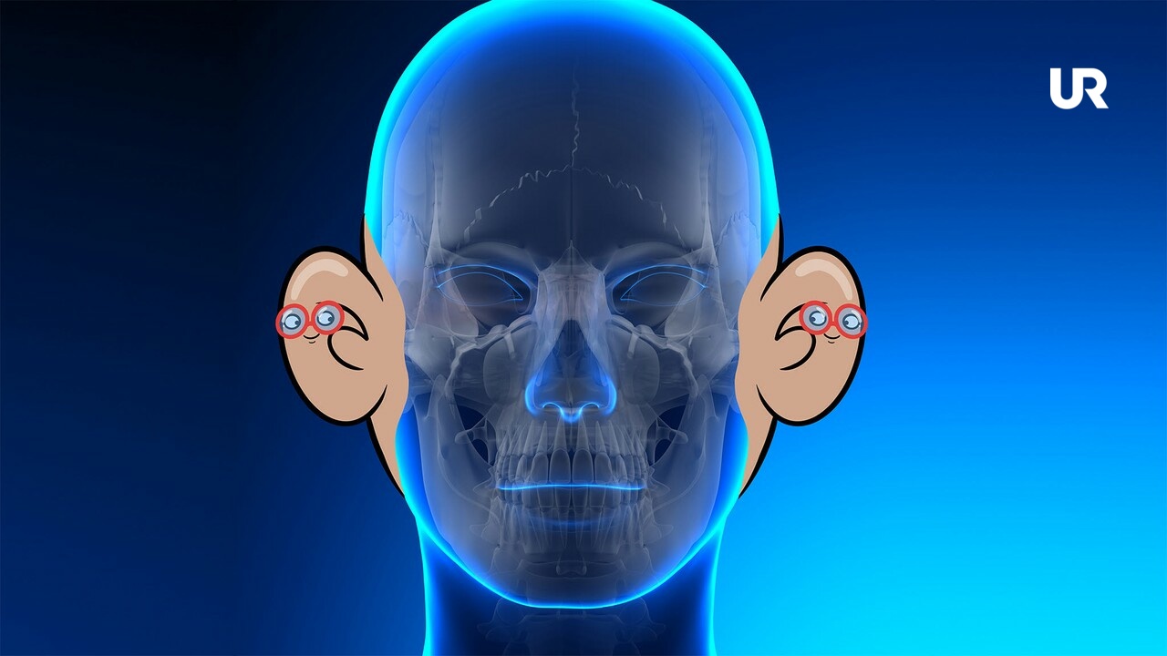 Kul fakta - kroppen: Öronen | UR Play