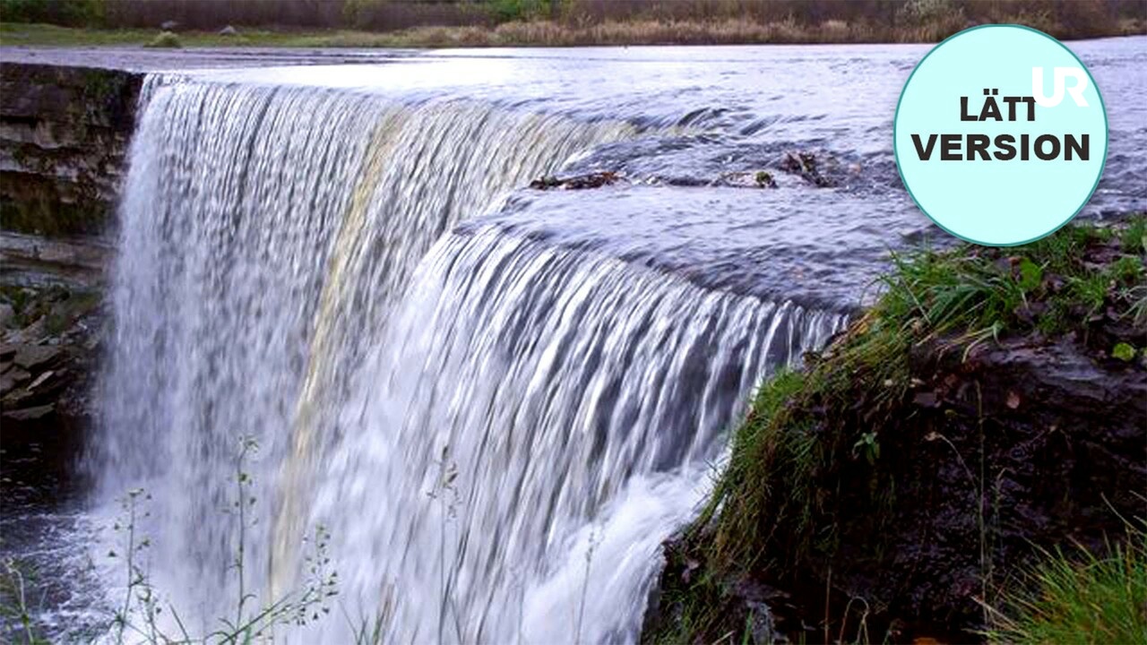 Bara vanligt vatten – lätt version: Vatten är viktigt | UR Play