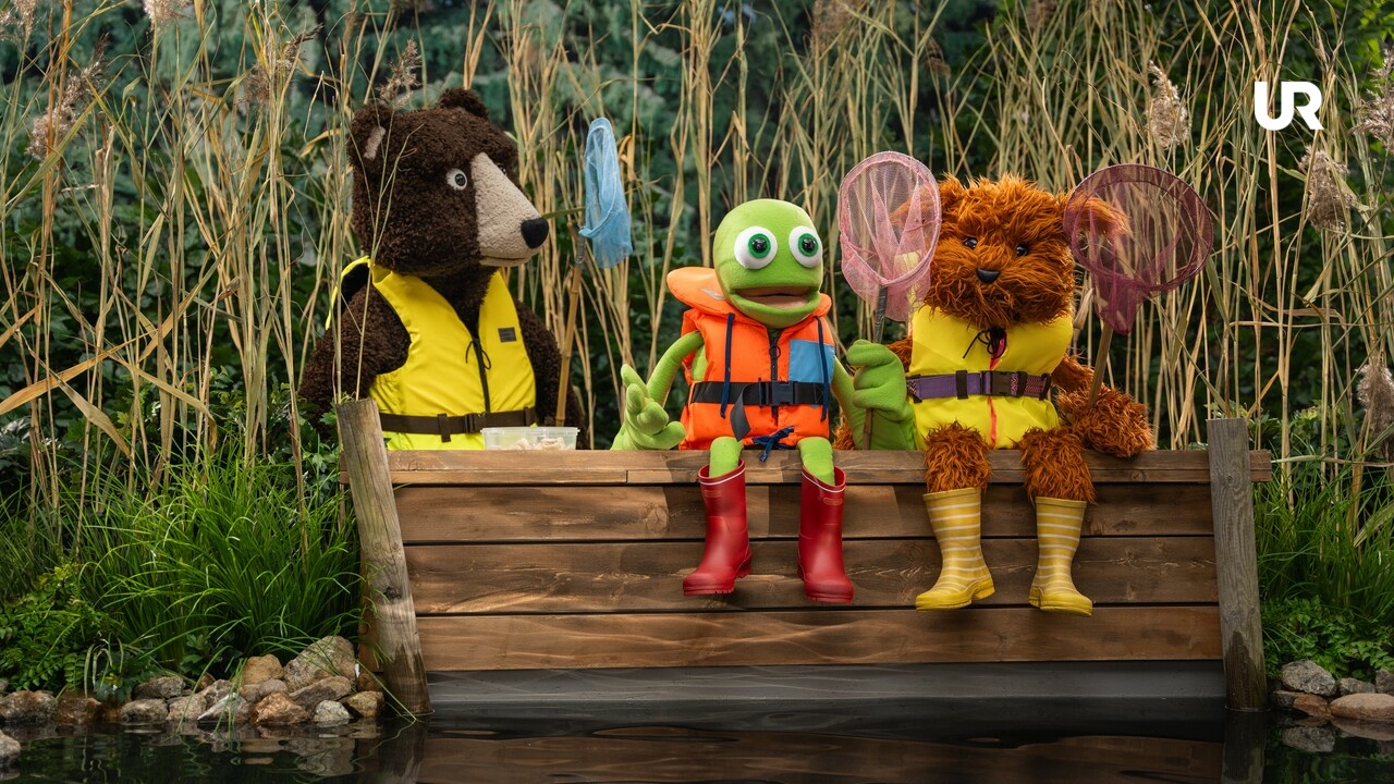 Djuren på Djuris i naturen: Håvmästaren | UR Play