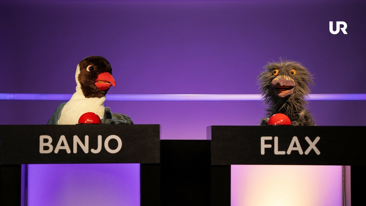 Djuren på Djuris i naturen: Var är Fåglis? | UR Play