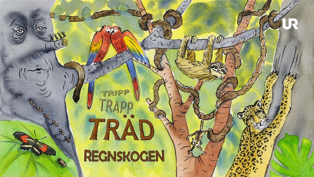 Tripp, Trapp, Träd och regnskogen | UR Play