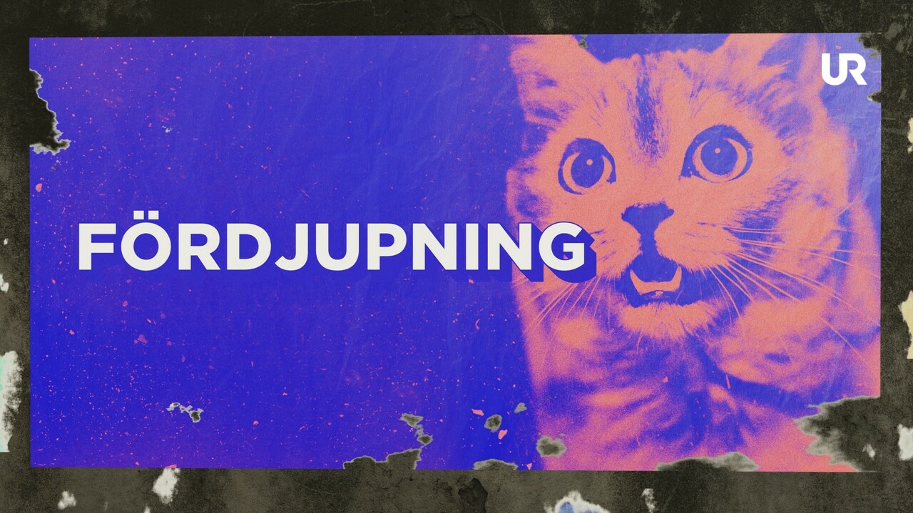 Det sjukaste som hände - fördjupning: Rättsläkaren om hur det är att ...