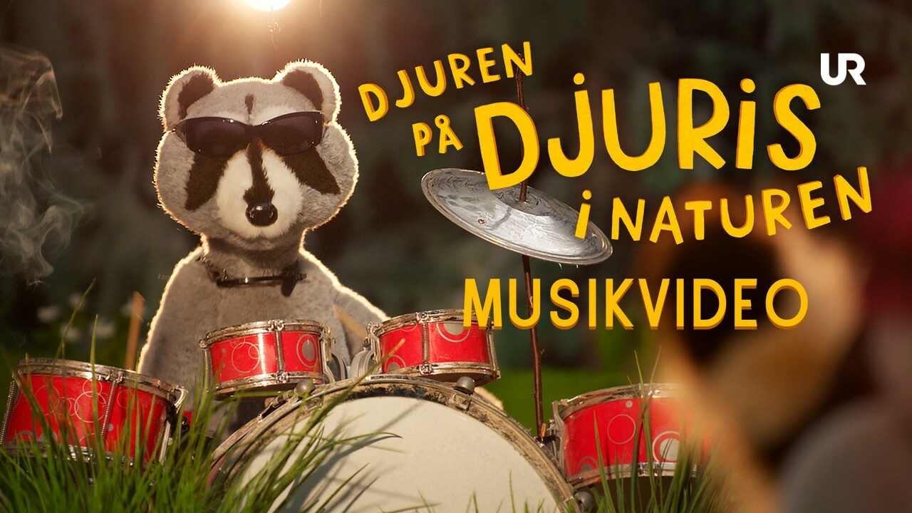 Djuren på djuris i naturen - musikvideo | UR Play