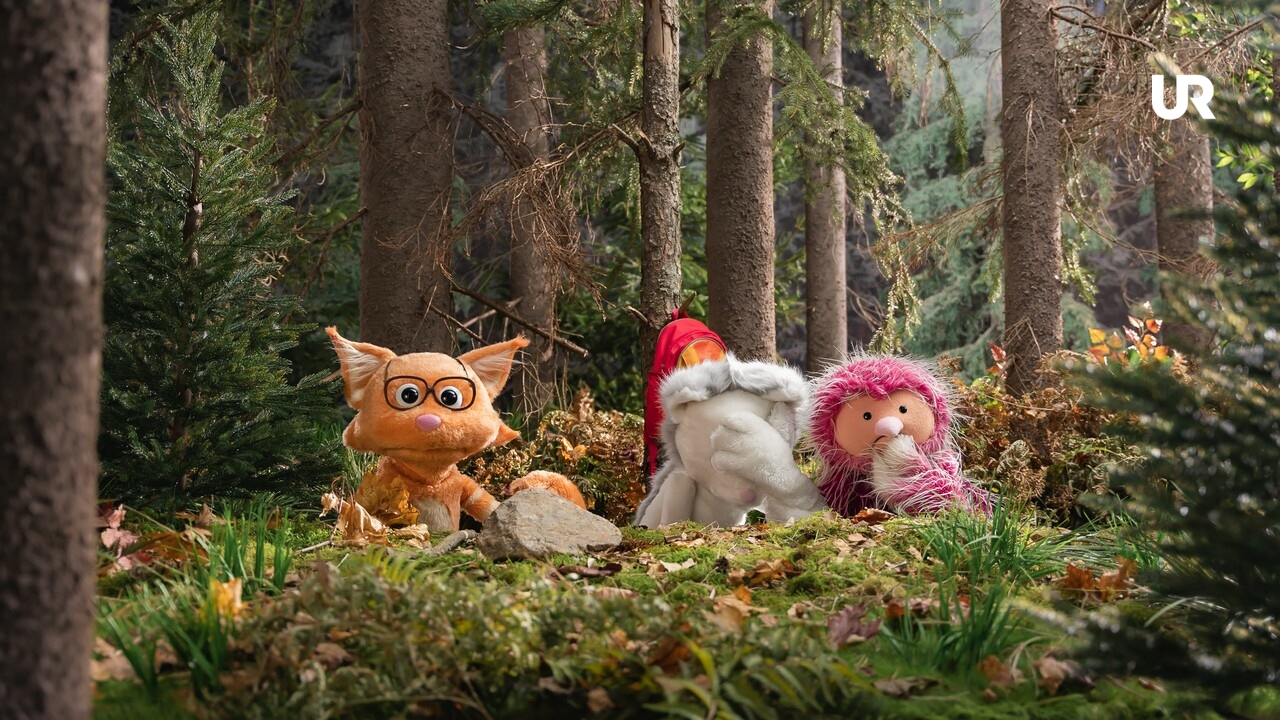 Djuren på djuris i naturen - musikvideo: Vilse | UR Play