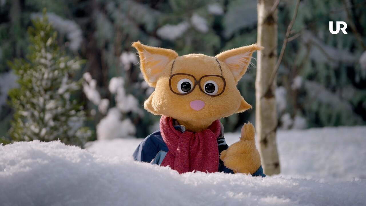 Djuren på Djuris i naturen - djurgåtor: Ett flygande djur | UR Play