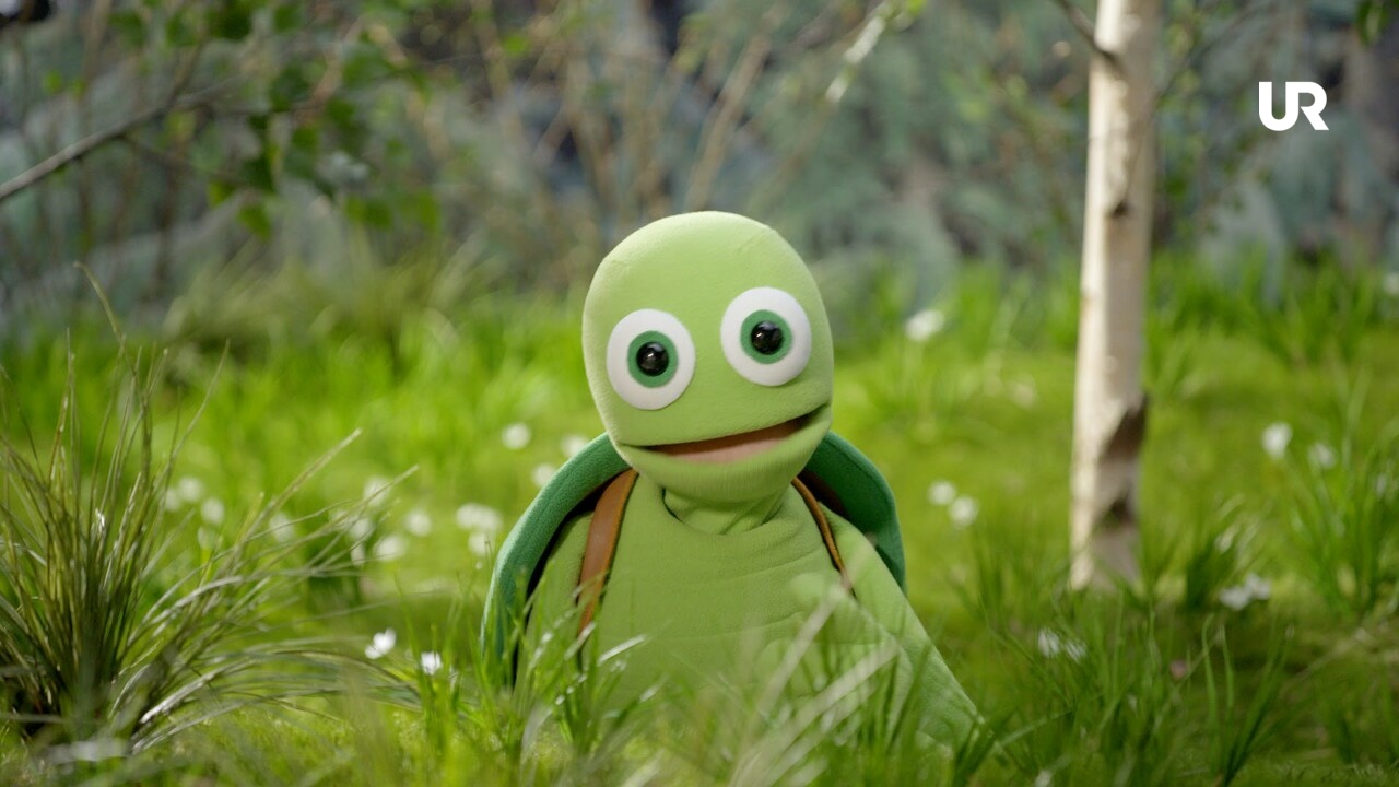 Djuren på Djuris i naturen - djurgåtor: Ett ludet djur | UR Play