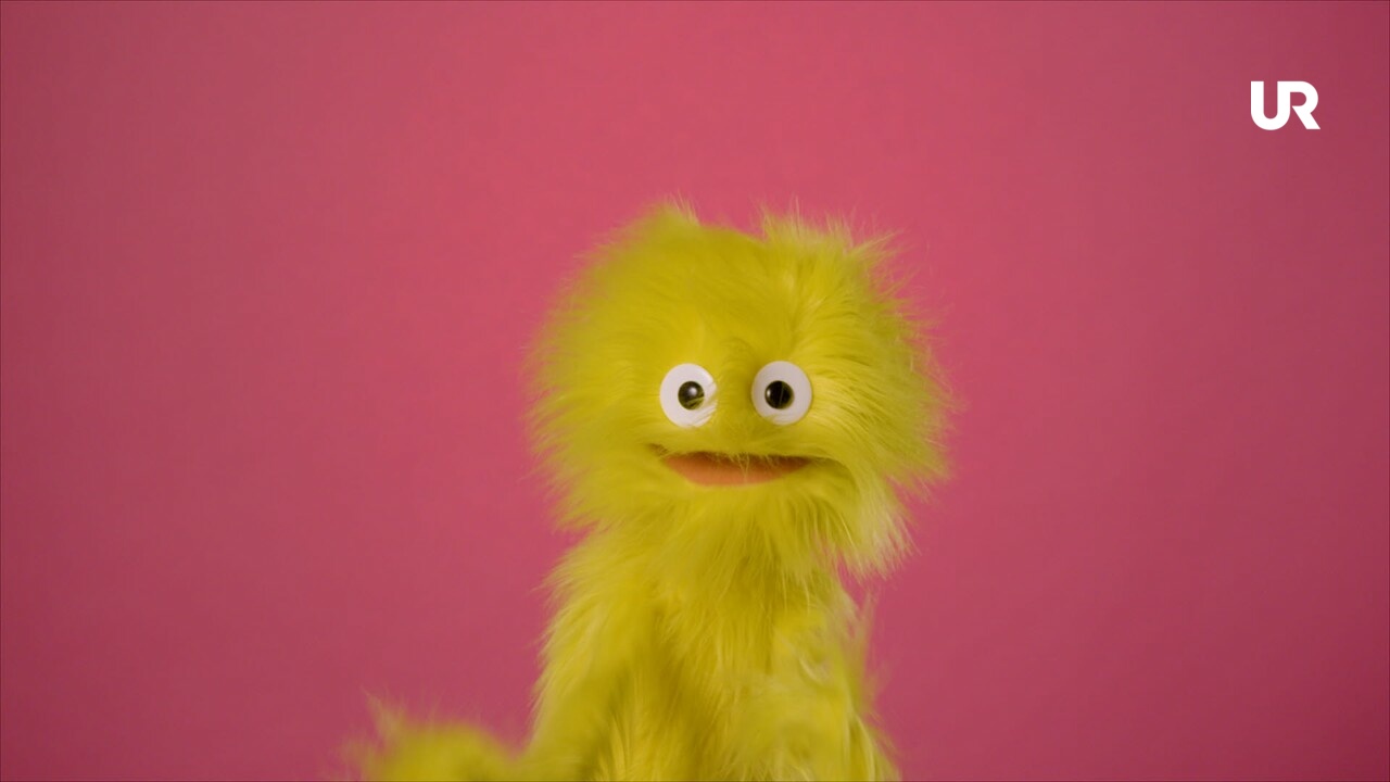 Djuren på Djuris i naturen - djurgåtor: Ett simmande djur | UR Play