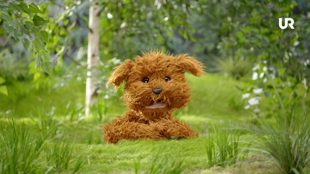 Djuren på Djuris i naturen - djurgåtor: Ett litet djur | UR Play