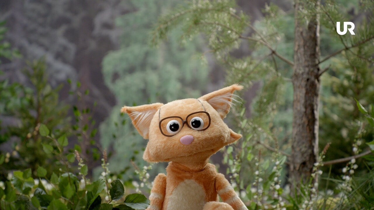 Djuren på Djuris i naturen - djurgåtor: Ett spinnande djur | UR Play