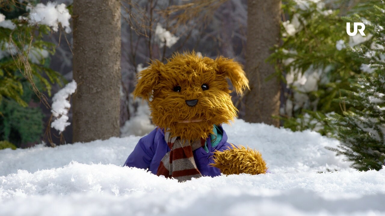 Djuren på Djuris i naturen - djurgåtor: Ett varmt djur | UR Play