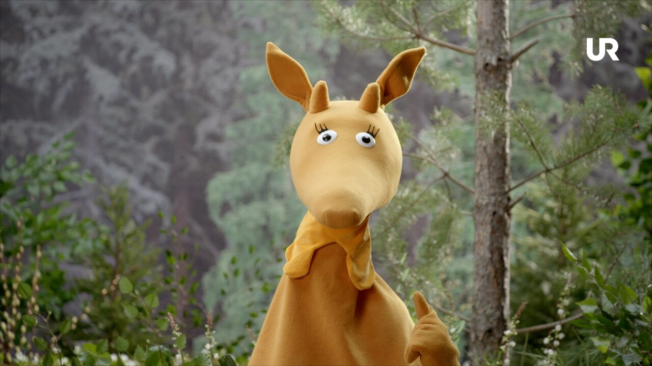 Djuren på Djuris i naturen - djurgåtor: Ett graciöst djur | UR Play