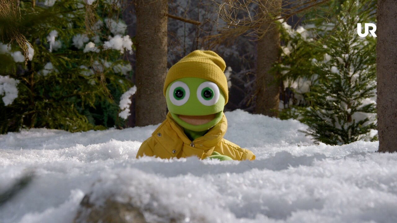 Djuren på Djuris i naturen - djurgåtor: Ett ståtligt djur | UR Play