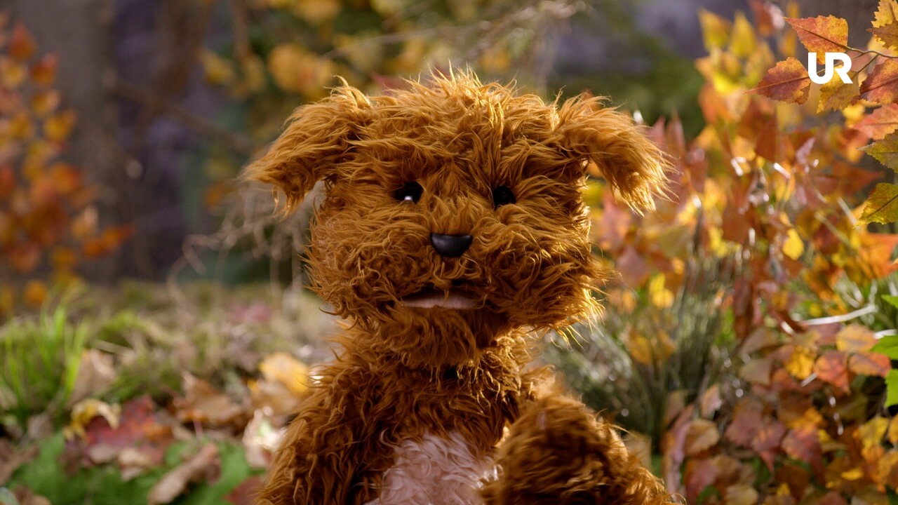 Djuren på Djuris i naturen - djurgåtor: Ett stort djur | UR Play