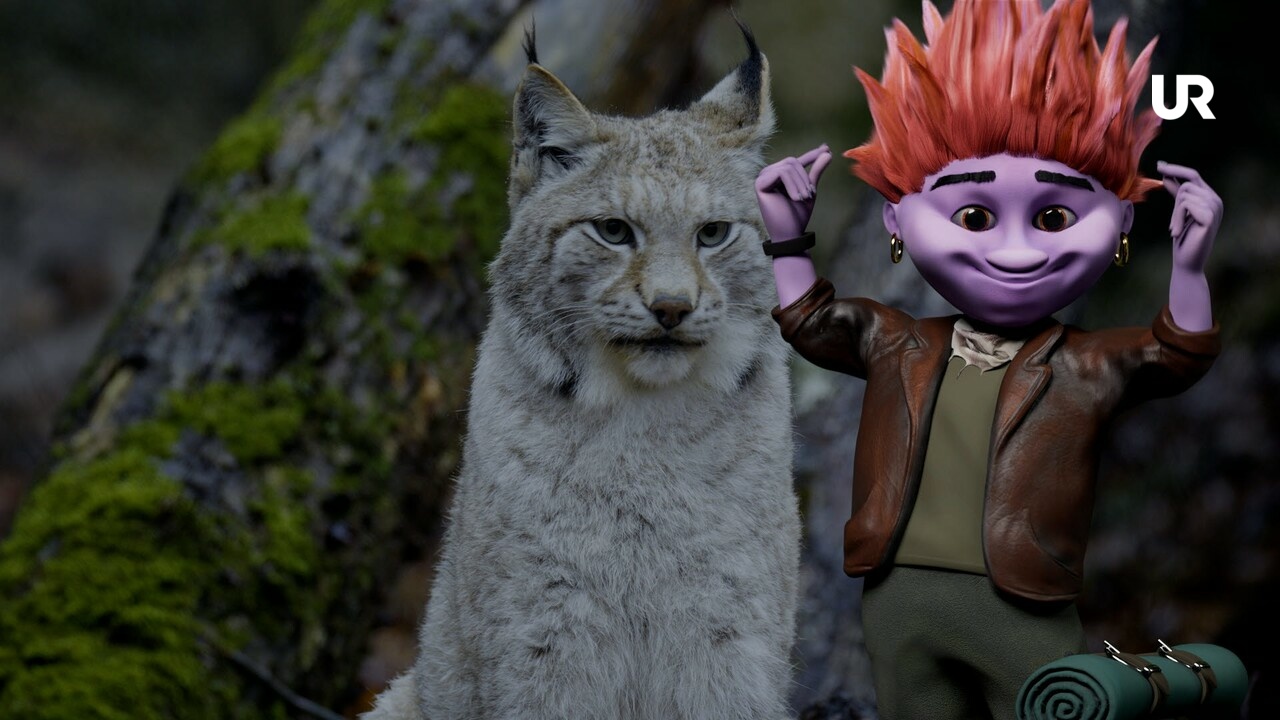 Zuff i naturen: Lodjuret | UR Play