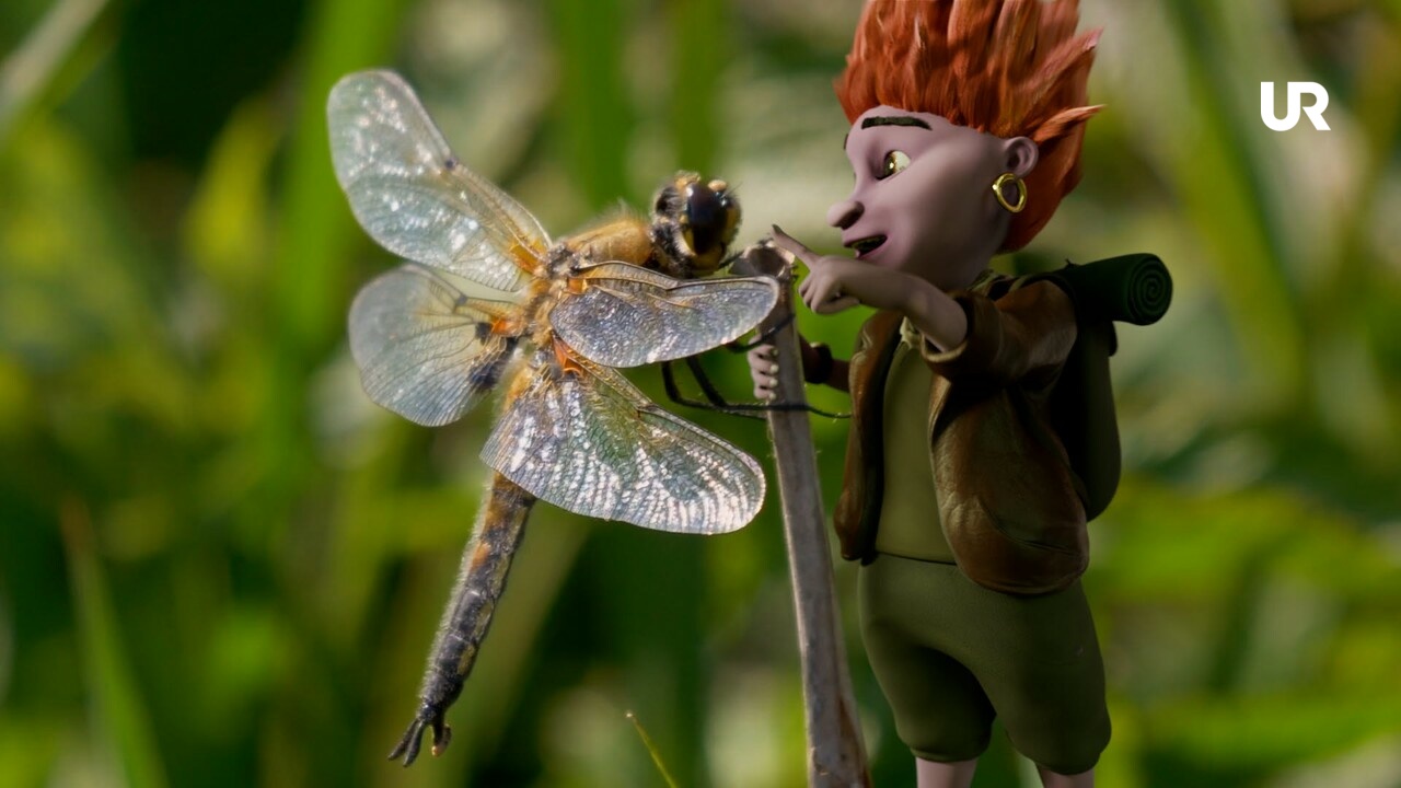 Zuff i naturen: Trollsländan | UR Play