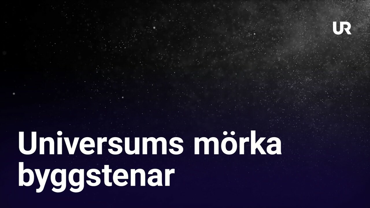 NMT-dagarna 2024: Universums mörka byggstenar | UR Play
