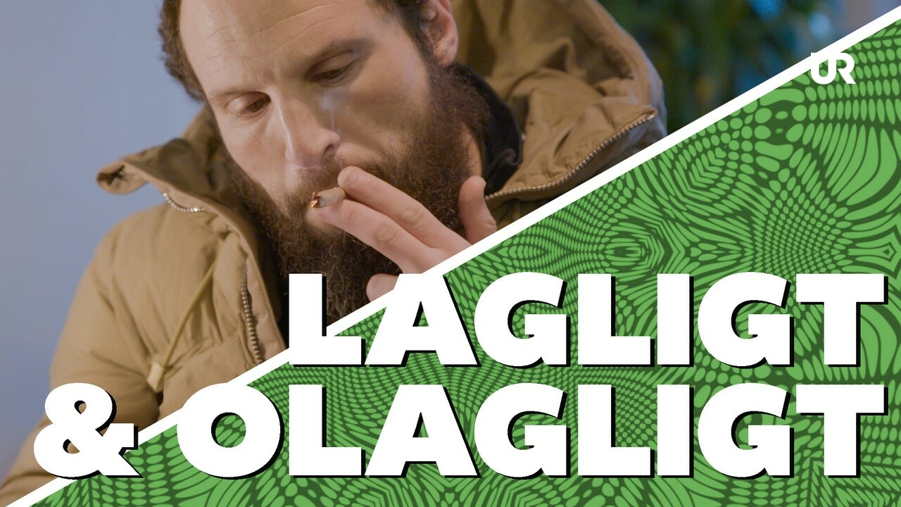 Allt om knark: Lagligt och olagligt | UR Play