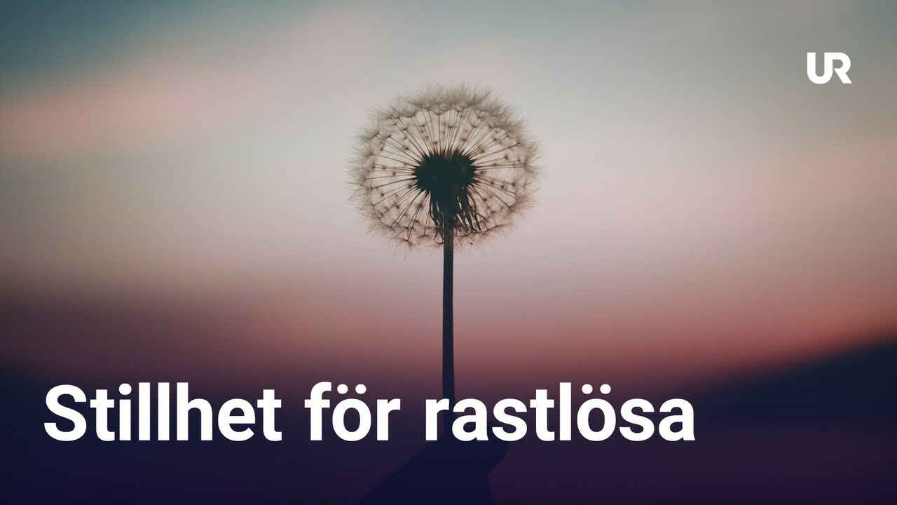 NPF-forum 2024: Stillhet för rastlösa | UR Play