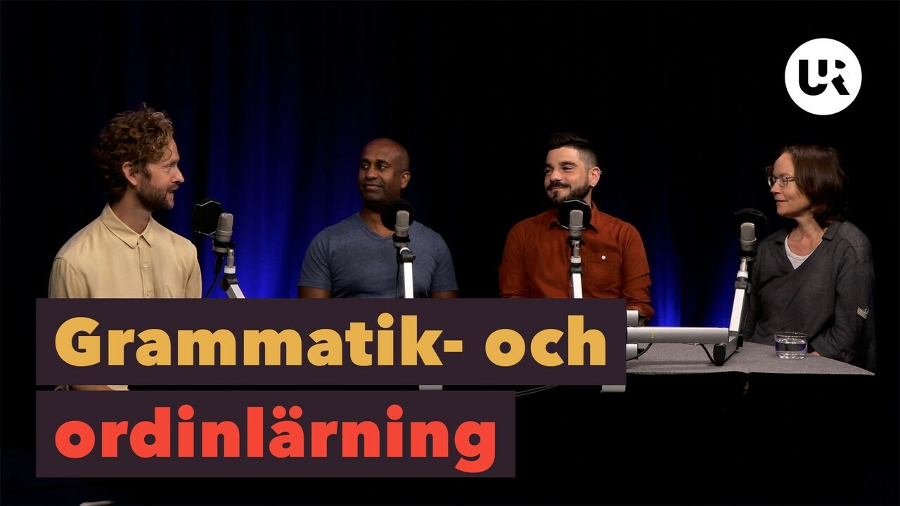 Hur lär man sig ett nytt språk?: Grammatik- och ordinlärning | UR Play
