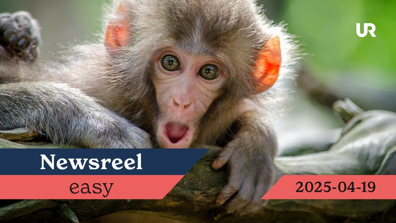 Newsreel easy: 2025-04-19 | UR Play