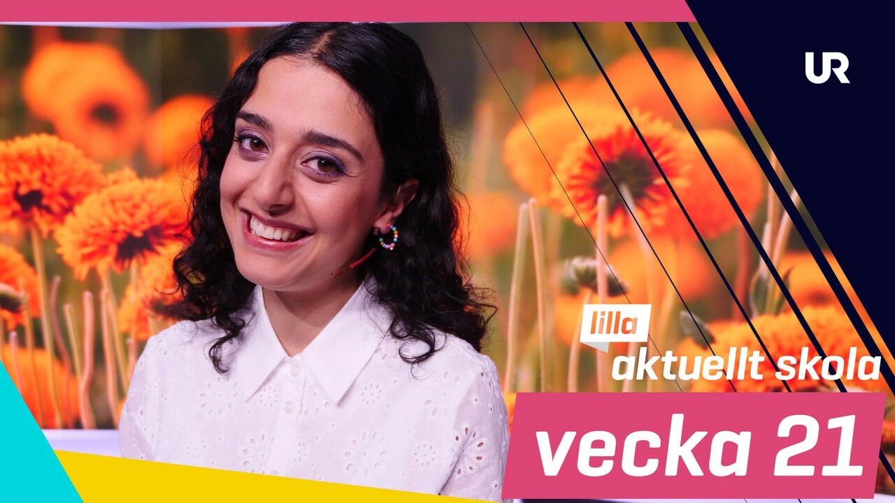 Lilla Aktuellt skola: 2025-05-23 | UR Play