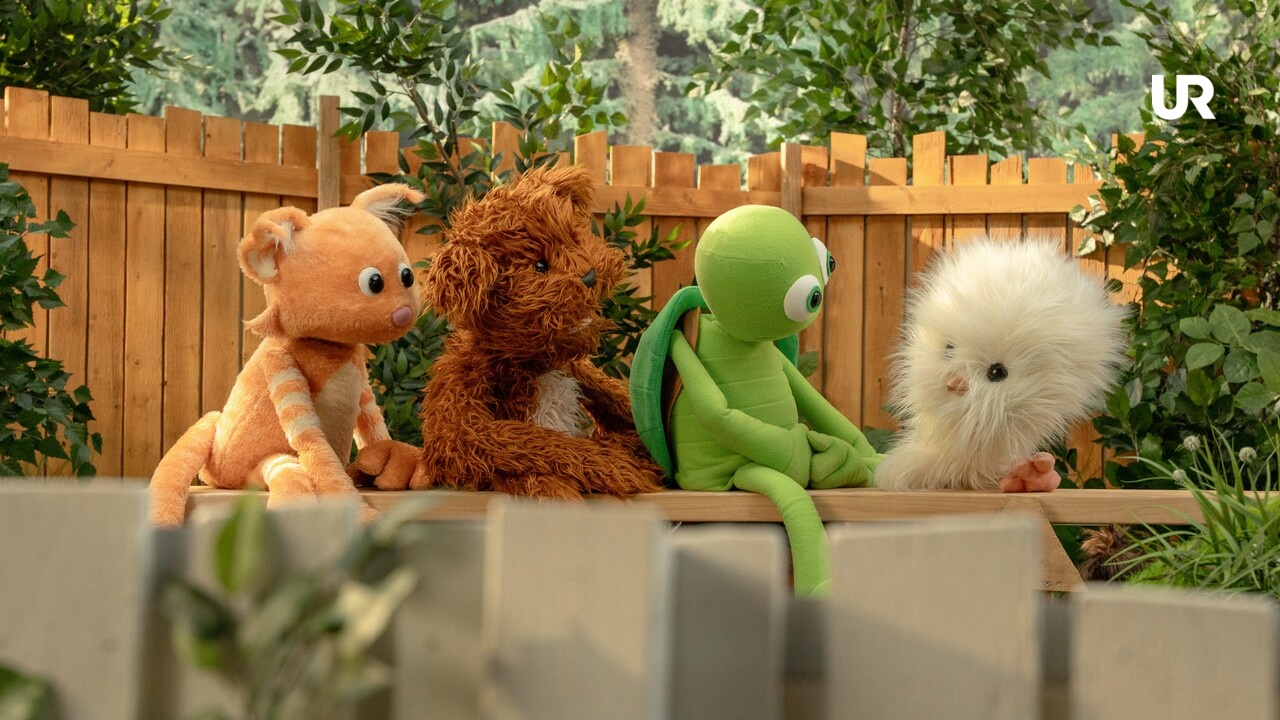 Räkna med Djuren på Djuris: Tyngdlyftartävlingen | UR Play