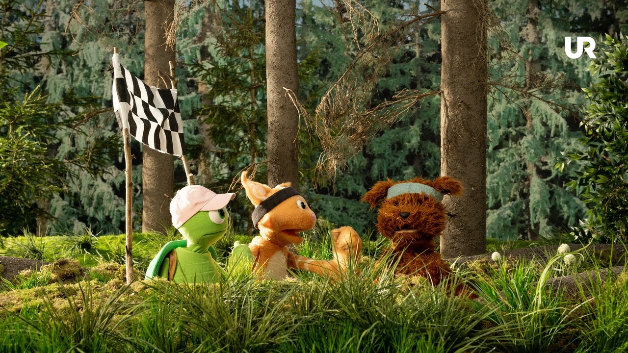 Räkna med Djuren på Djuris: Första plats | UR Play