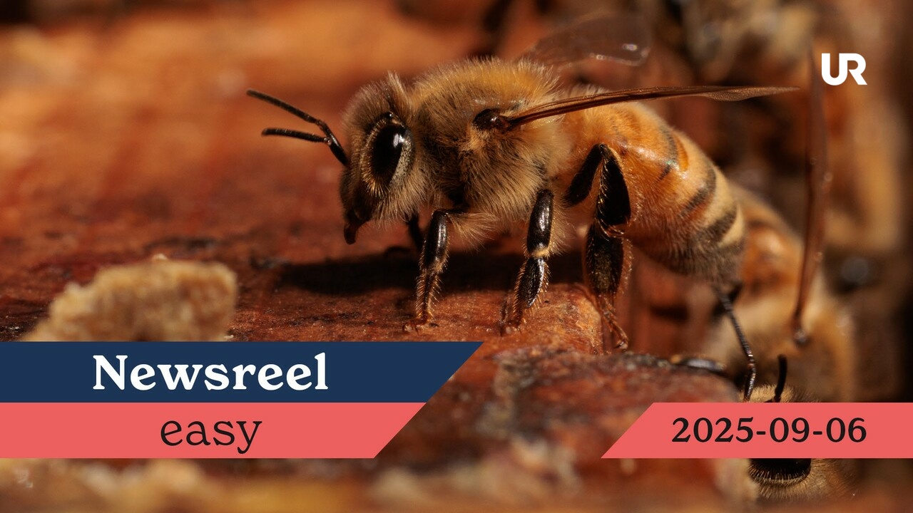 Newsreel easy: 2025-09-06 | UR Play