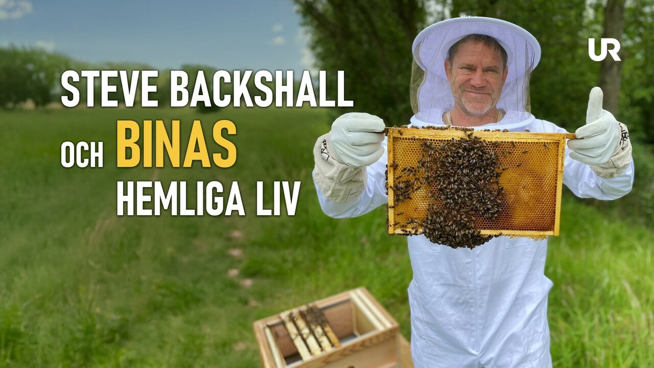 Steve Backshall och binas hemliga liv | UR Play
